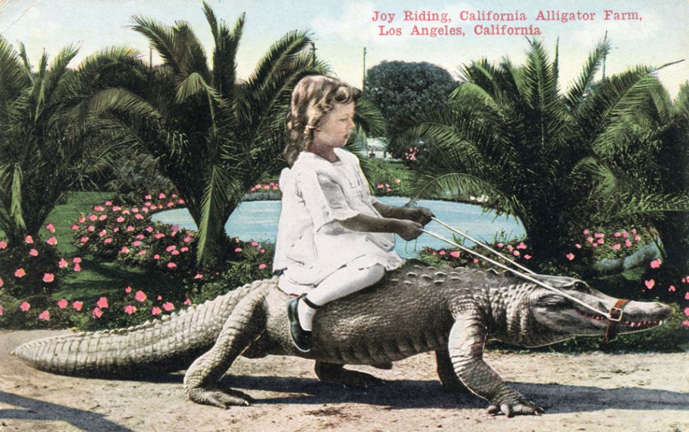 When Kids Played With Alligators in Los Angeles in the Early 20th ...