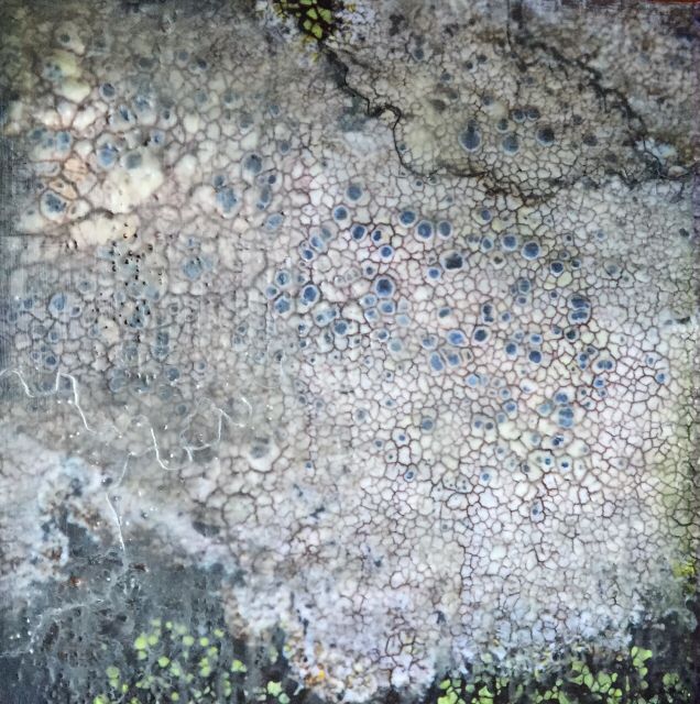 jean larson photography