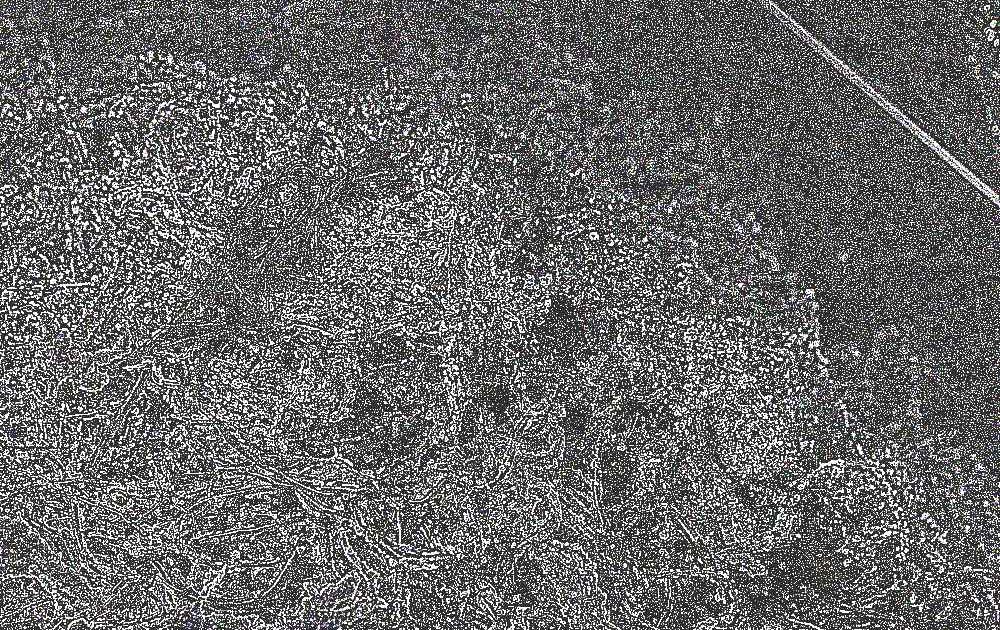 The Scriptures: Mark-05-28