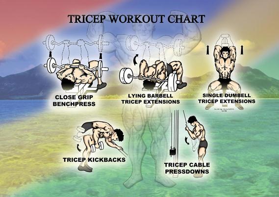 Getting those Gunns to GROW. By Vic Goyaram ~ BODYBUILDING MAURITIUS ...