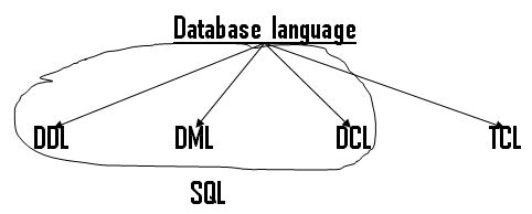Relational Database Management system: What is DBMS languages & its ...