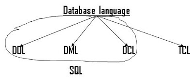 Relational Database Management system: What is DBMS languages & its ...