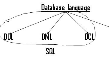 Relational Database Management system: What is DBMS languages & its ...