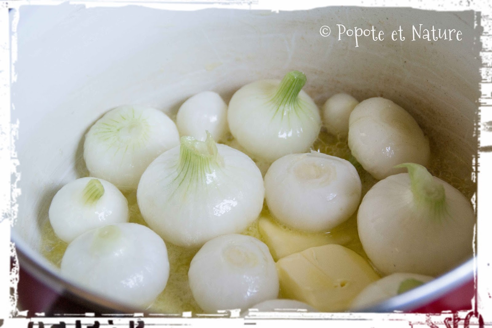 Popote et Nature: Que faire avec une botte d'oignons frais ? J'ai la ...