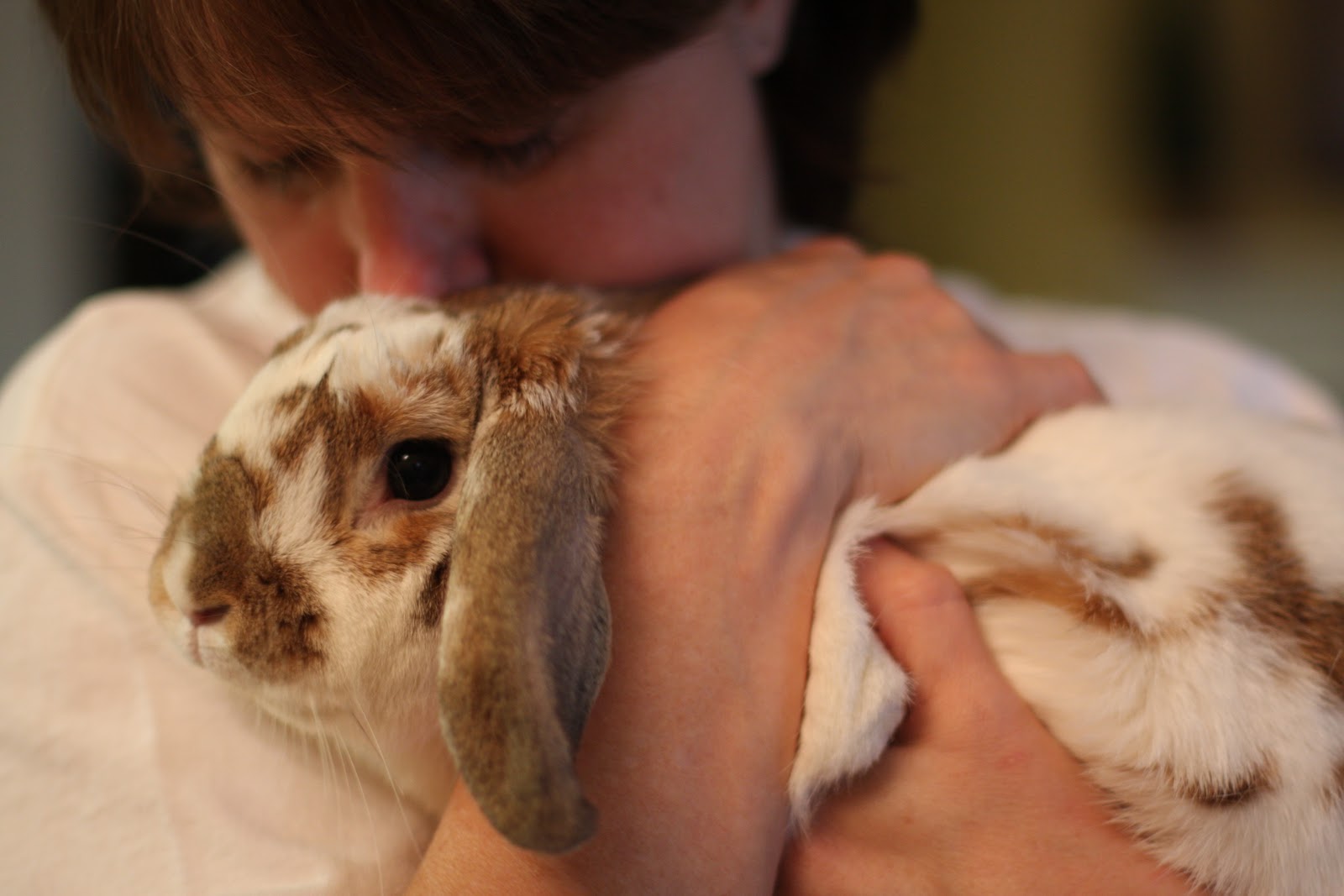 Just Another Static Heart: Rabbits; Not For Everyone