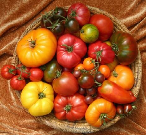 Getting Raw: Classic Andalusian Gazpacho