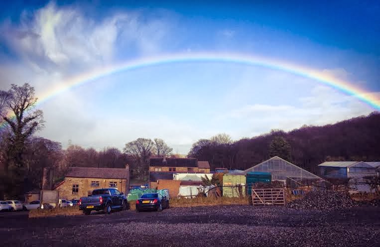 Pot House Hamlet: 2014