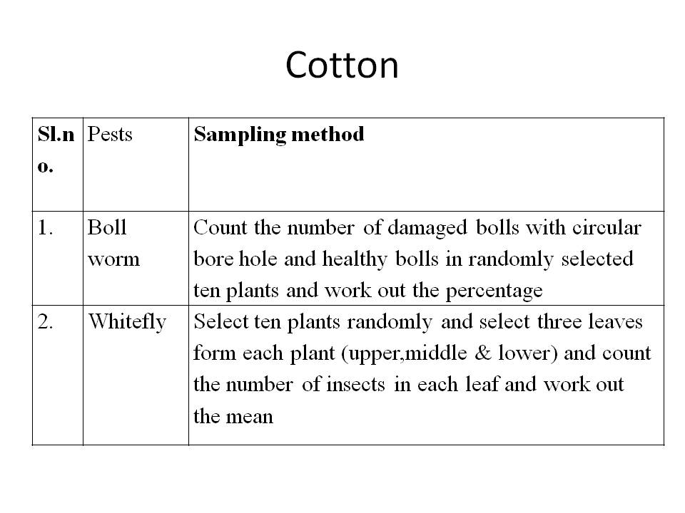 3. ASSESSMENT OF PEST POPULATION AND CROP LOSS