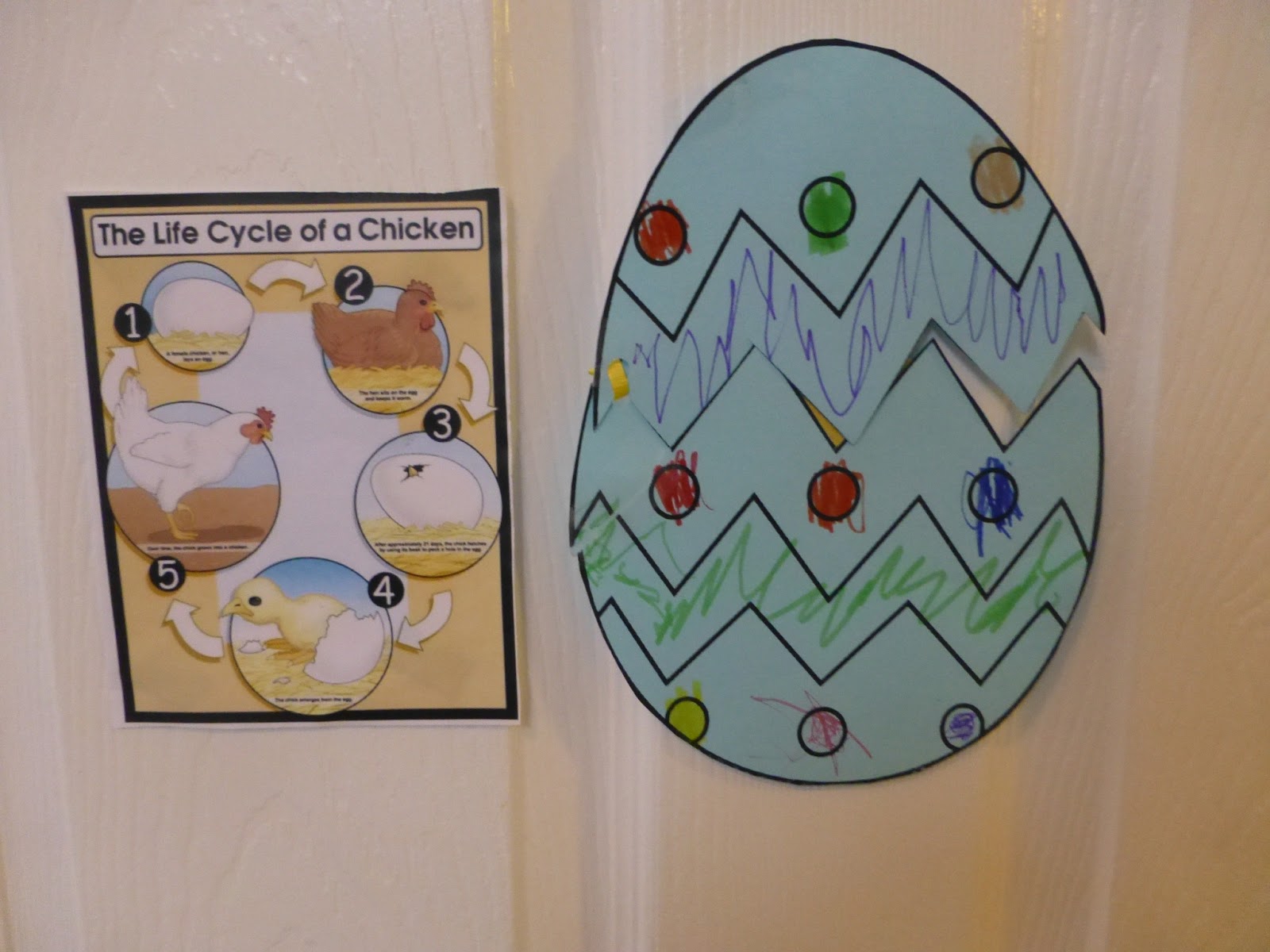 Halfway Homeschooling: Spring Craft - Life Cycle of the Chicken ...