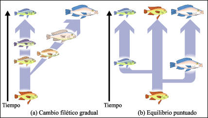 CIENCIAS BIOLOGICAS: EVOLUCIÓN Las bases genéticas de la evolución.