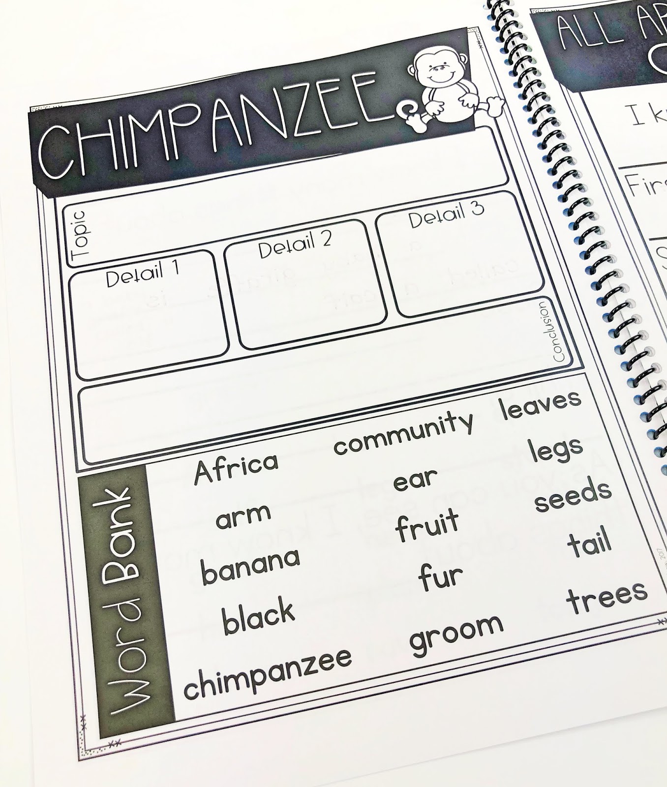 How to Scaffold Paragraph Writing for Special Education - You Aut-A Know