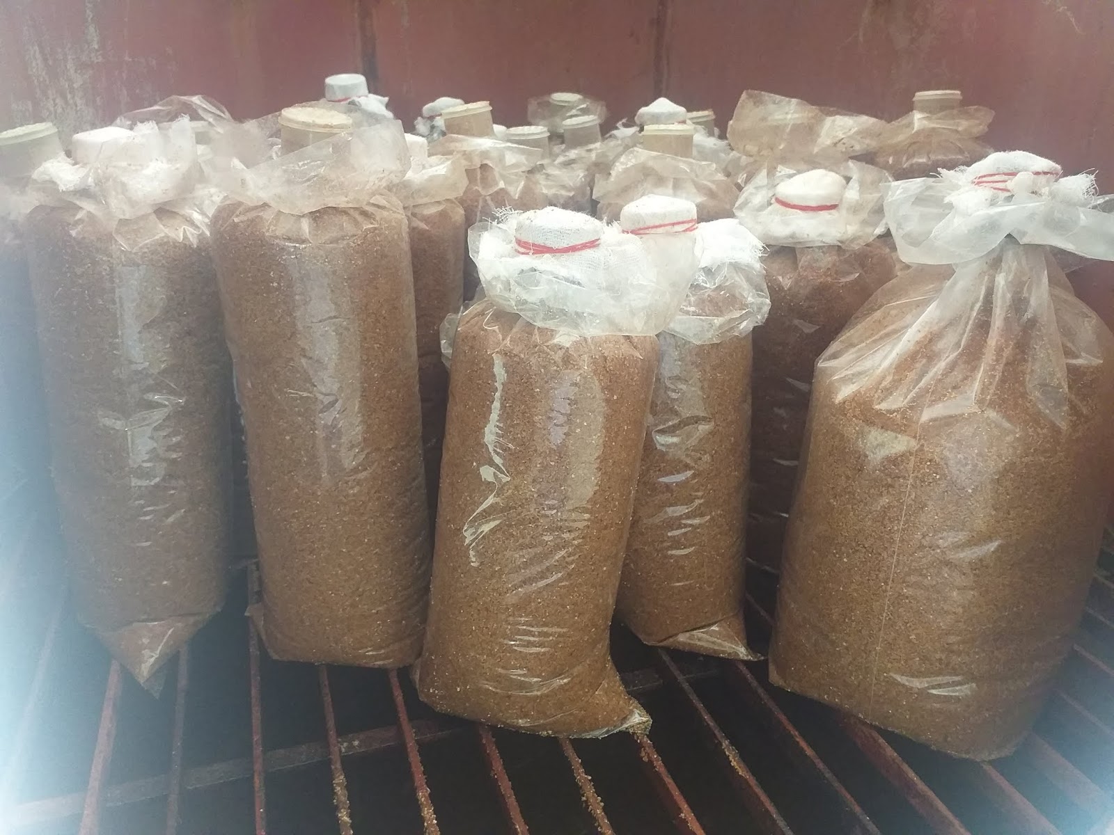 Key steps in mushroom production