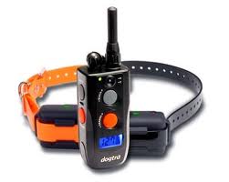 Train her well: Can a slave be trained with a remote training collar?