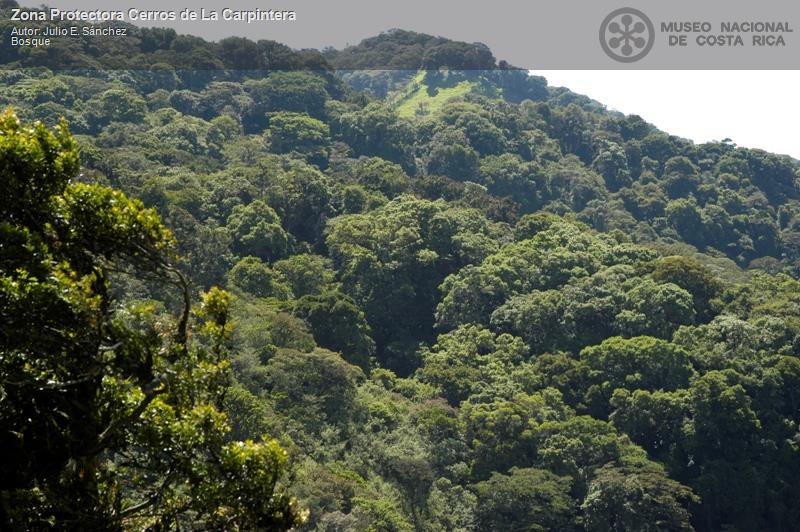 La Carpintera: importancia de una Zona Protectora