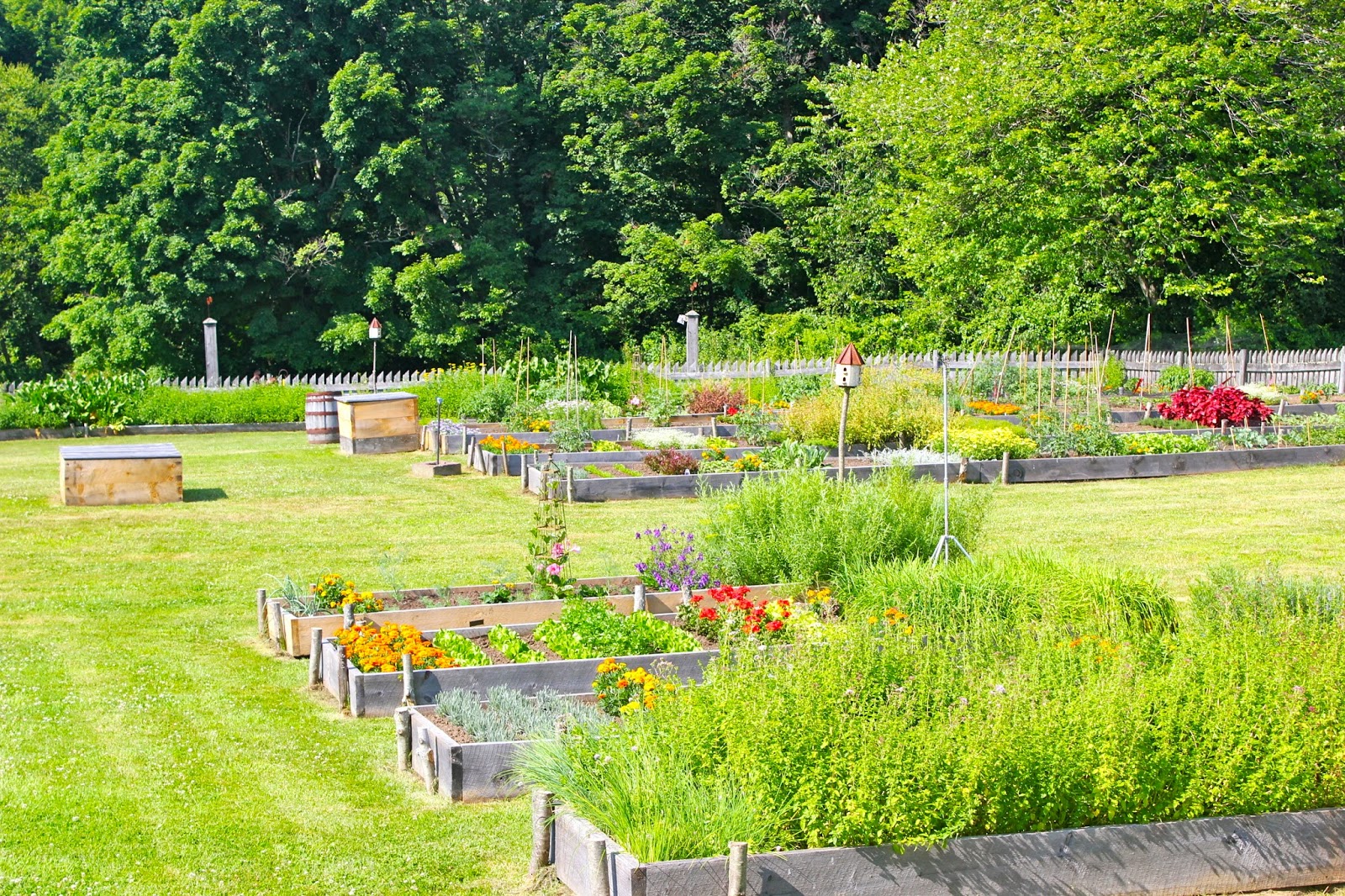 Intrinsic Beauty : Destination: Sharpe Hill Vineyard