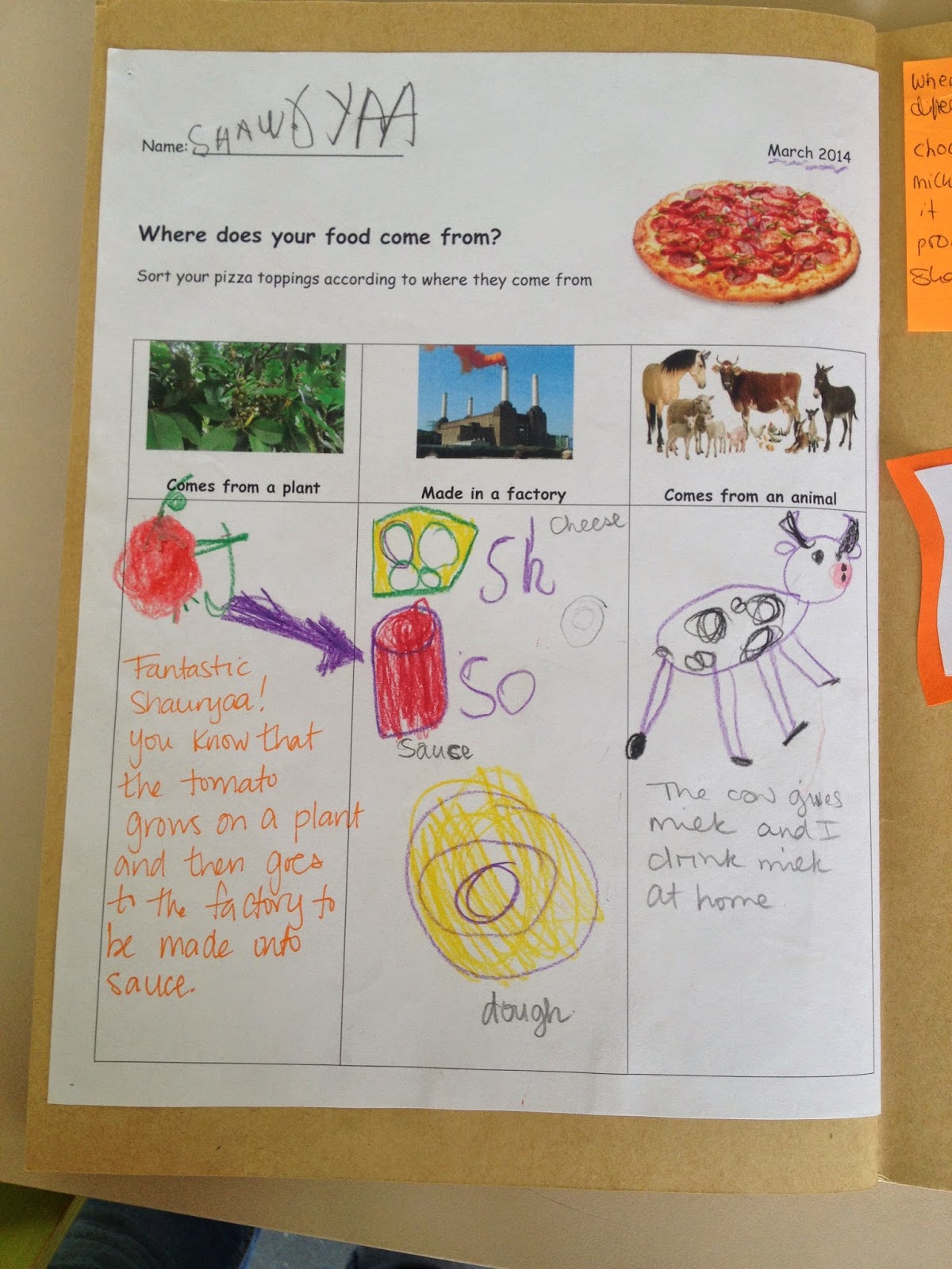 Kindergarten Inquirers: Children's Work - How We Organize Ourselves