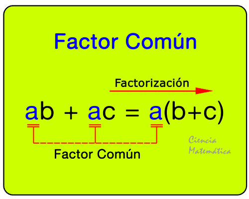 Factorizacion: Factor comun (monomio y polinomio)