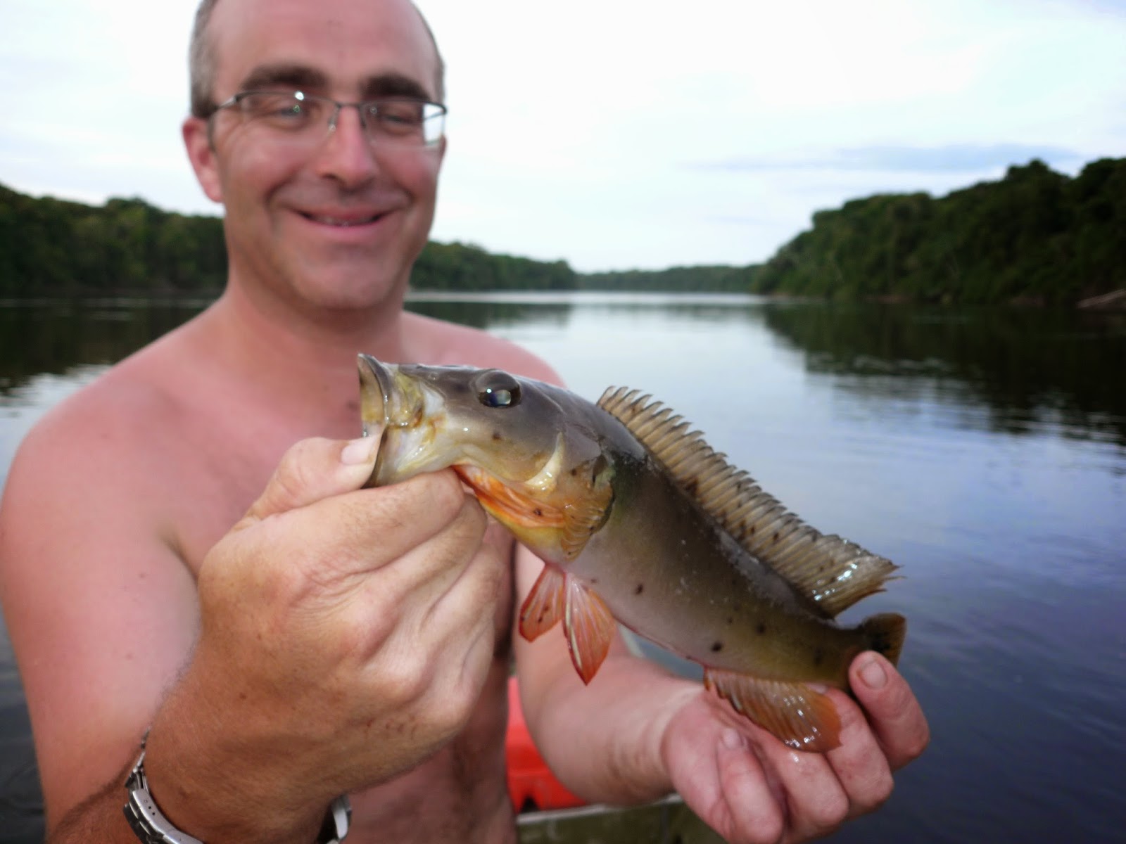 D Heaps fishing adventures: A good day fi we - Essequibo river Guyana 2014