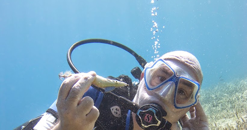 Scuba Tech Diving Centre, Cyprus: Scuba Diving- Pure and Simple