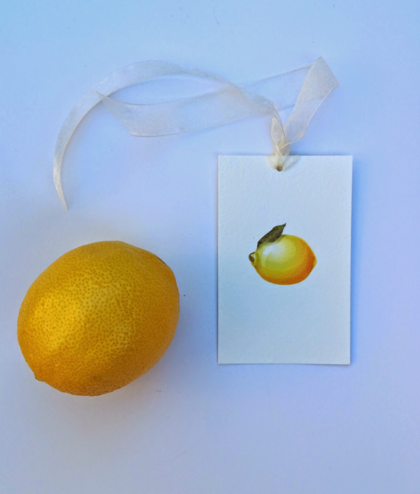 Jac o' lyn Murphy: Fresh Fruit for Pretty Packaging