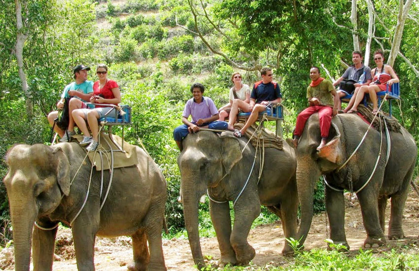 11 Things to Do in Kerala for Couples - Online Travel Bucket