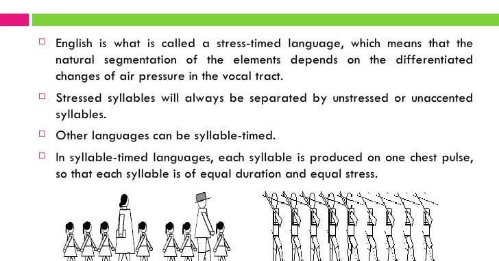 English Lab: English: a stress-timed language