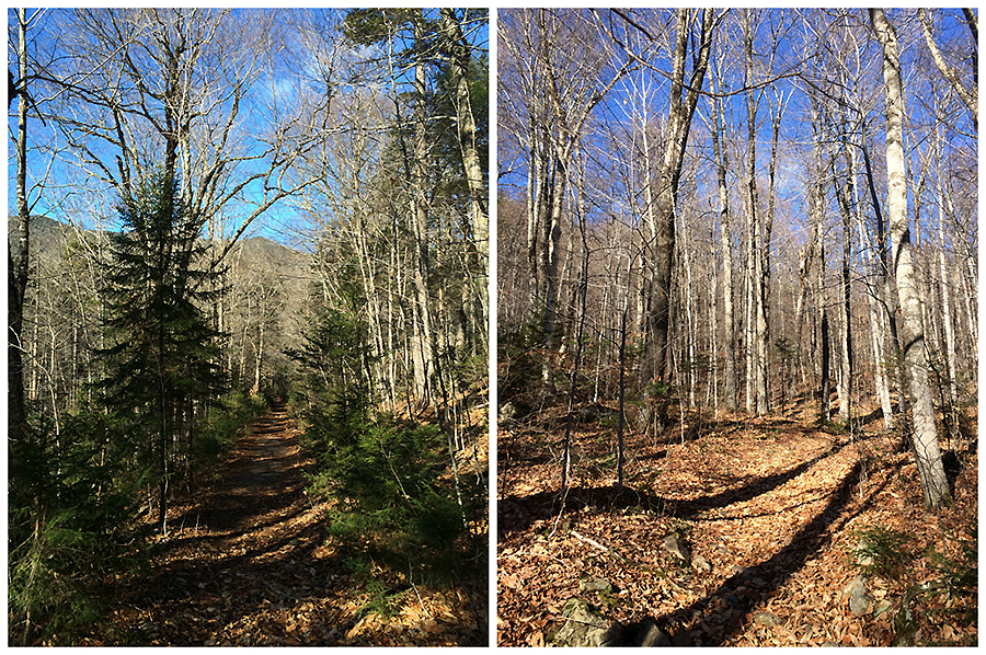Hiking in the White Mountains: Livermore Pass and the Old Town of ...
