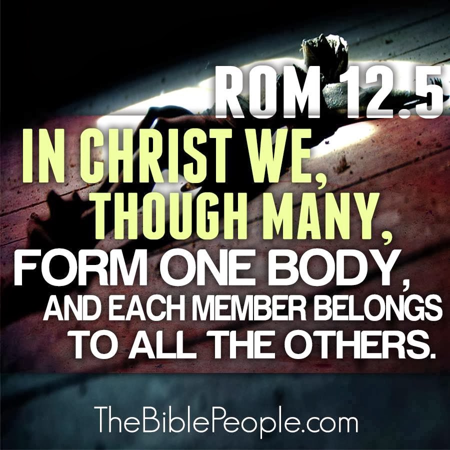 In Christ we, though many, form one body and each member belongs to all ...