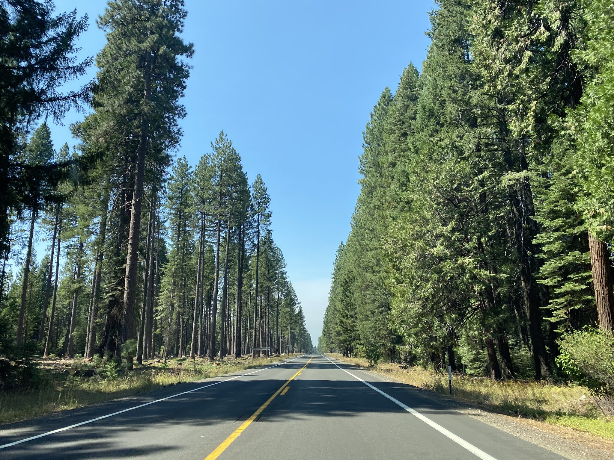 California State Route 44 and California State Route 440