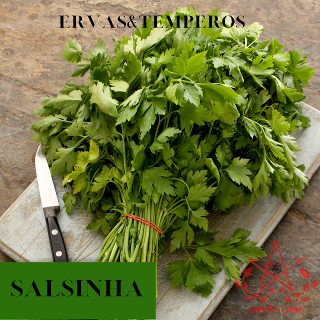 Casa da Cigana: Ervas & Temperos - Salsinha