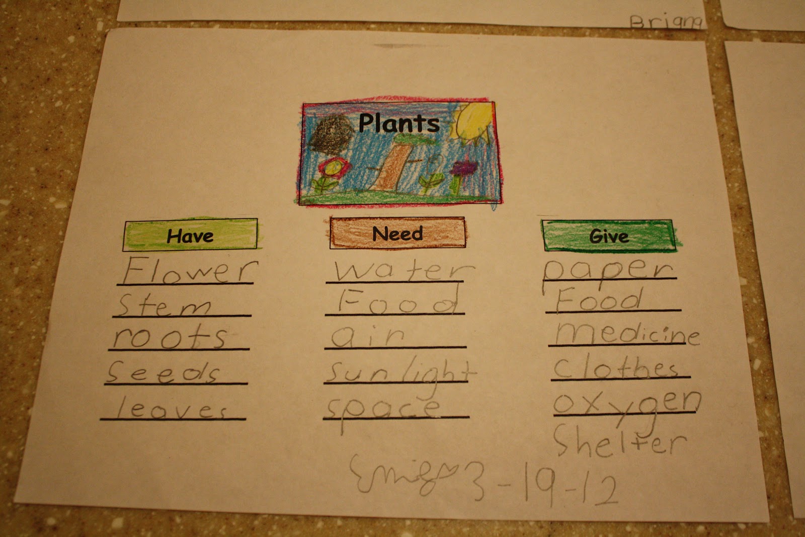 First Grade Days!: Away We Grow! Week 1