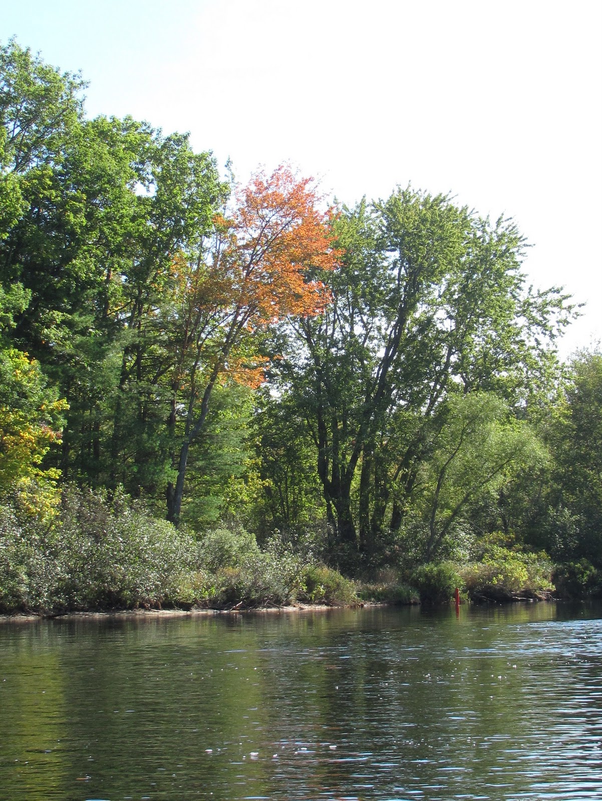 Recreational Kayaking in Maine: Songo River/Brandy Pond/Sebago Lake