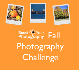 Find Your Photography Style - join the Fall Photography Challenge ...