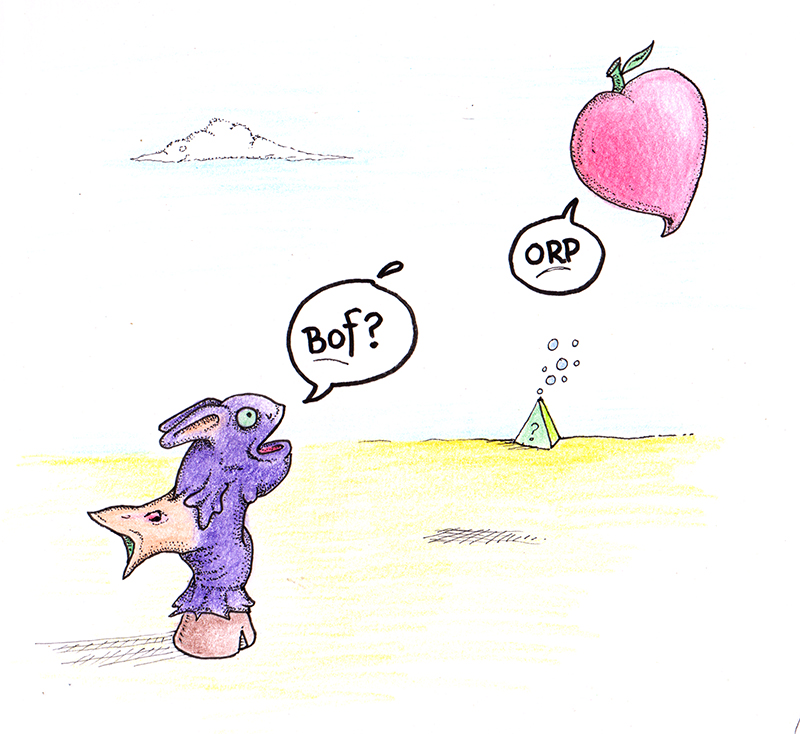 Jim Caron: Jim Caron - True Love - New work