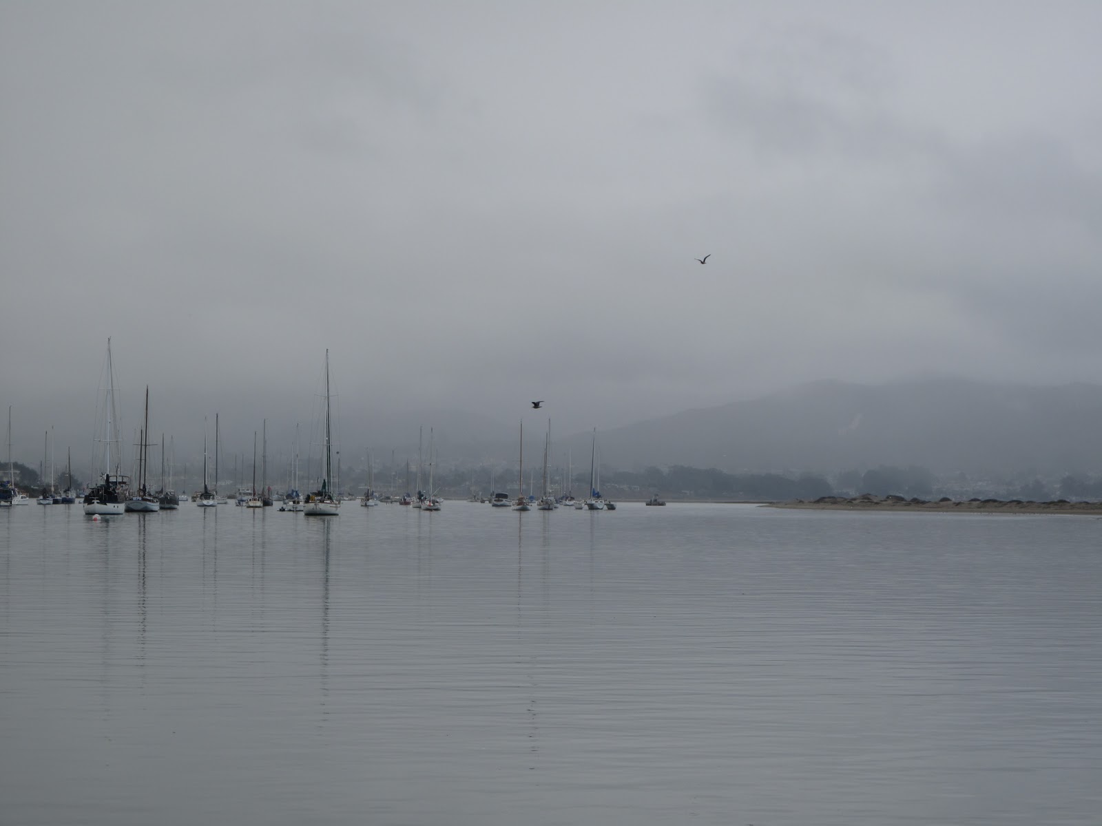 Three Hour Tour: Morro Bay to Cojo Anchorage
