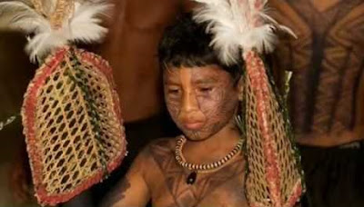 BIBOCA AMBIENTAL : FORMIGA TOCANDIRA