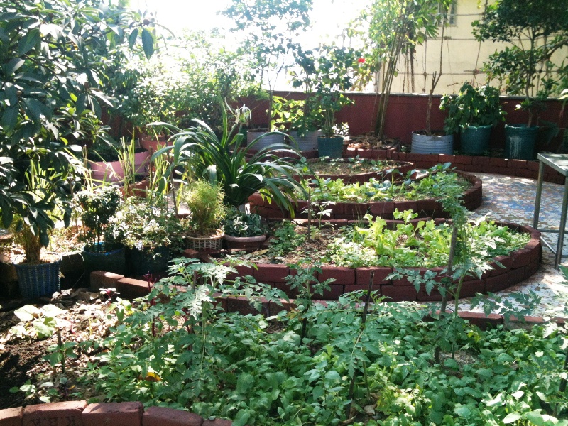 Natueco city farming: Introducing permaculture design on MbPT terrace ...