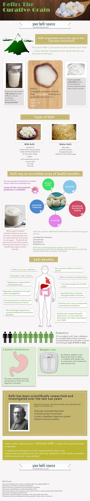Kefir Infographic