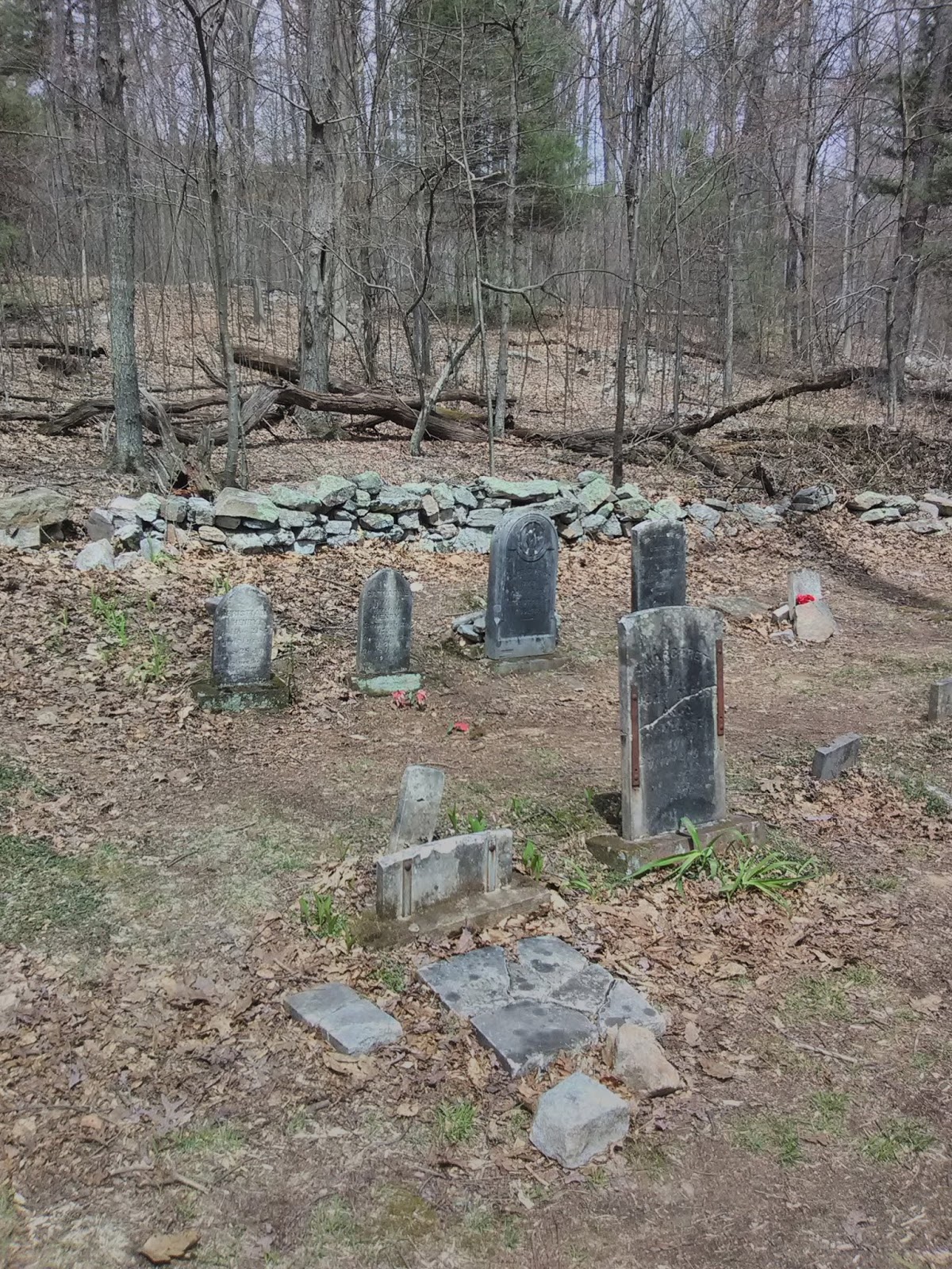 Springtime in Pandemonium