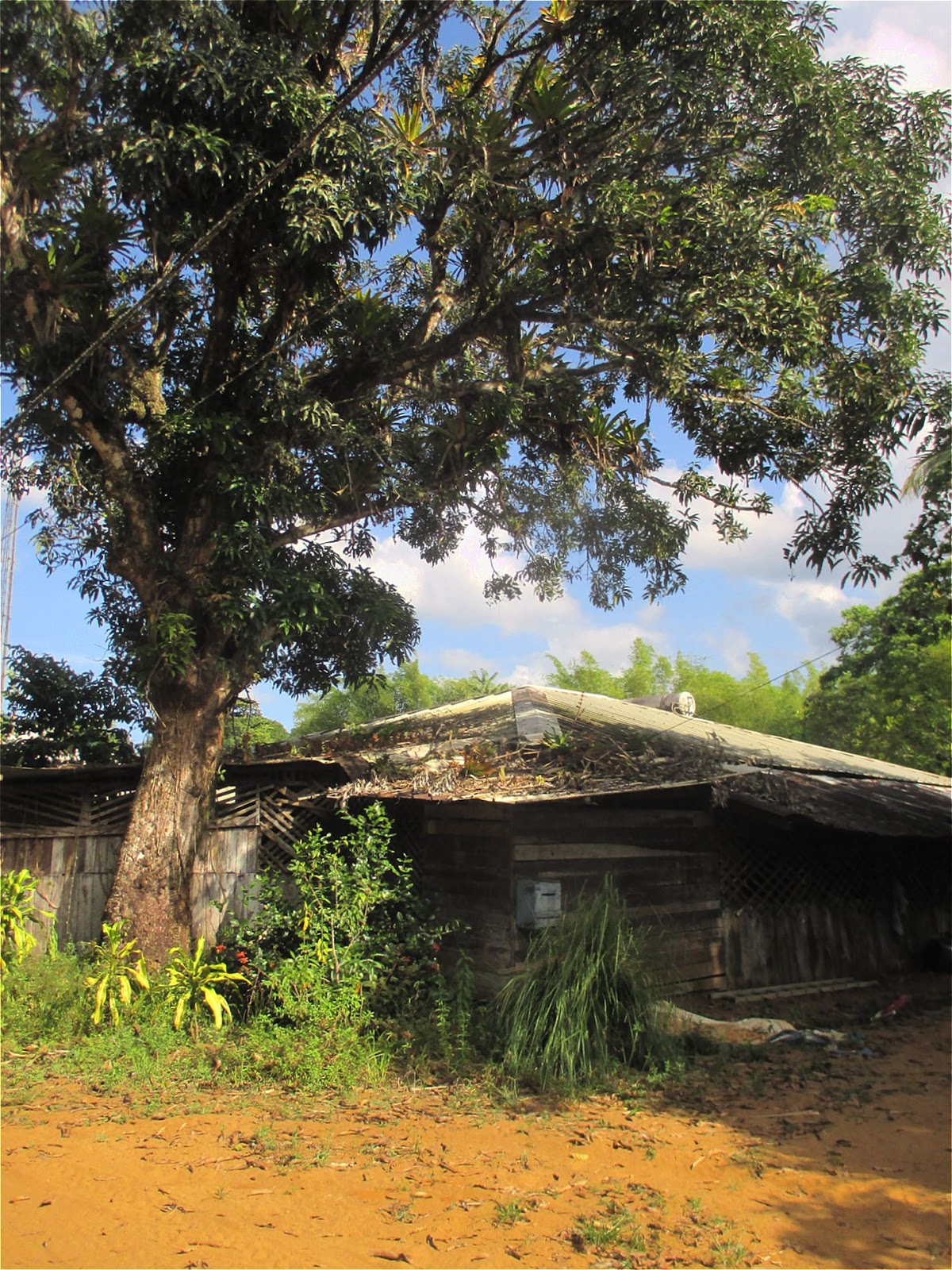 Guyane : Une visite au village de Kaw - Les rêveries d'Isisya