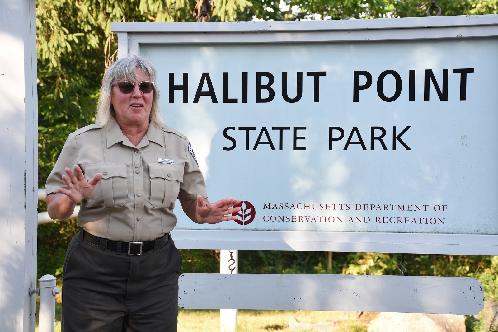 Notes from Halibut Point: Pond Life, Part 5 - Insectivores