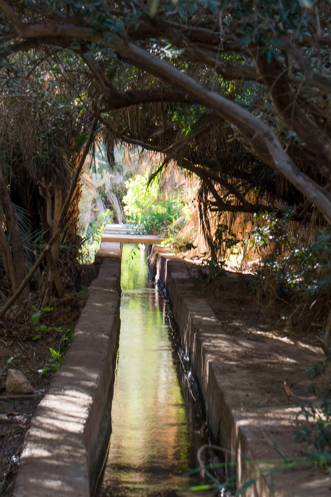 Maroc - cheile Trandafirilor, Dades și Todra și Ait Ben Haddou (2-6 ...