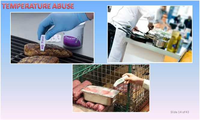 CUL2115 - Food Nutrition: Chapter 3 : Factors affect Food borne Illness ...