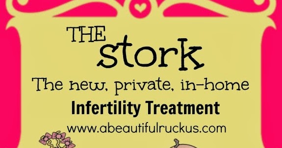 A Beautiful Ruckus: The Stork for Women - A New, Private, In-Home ...