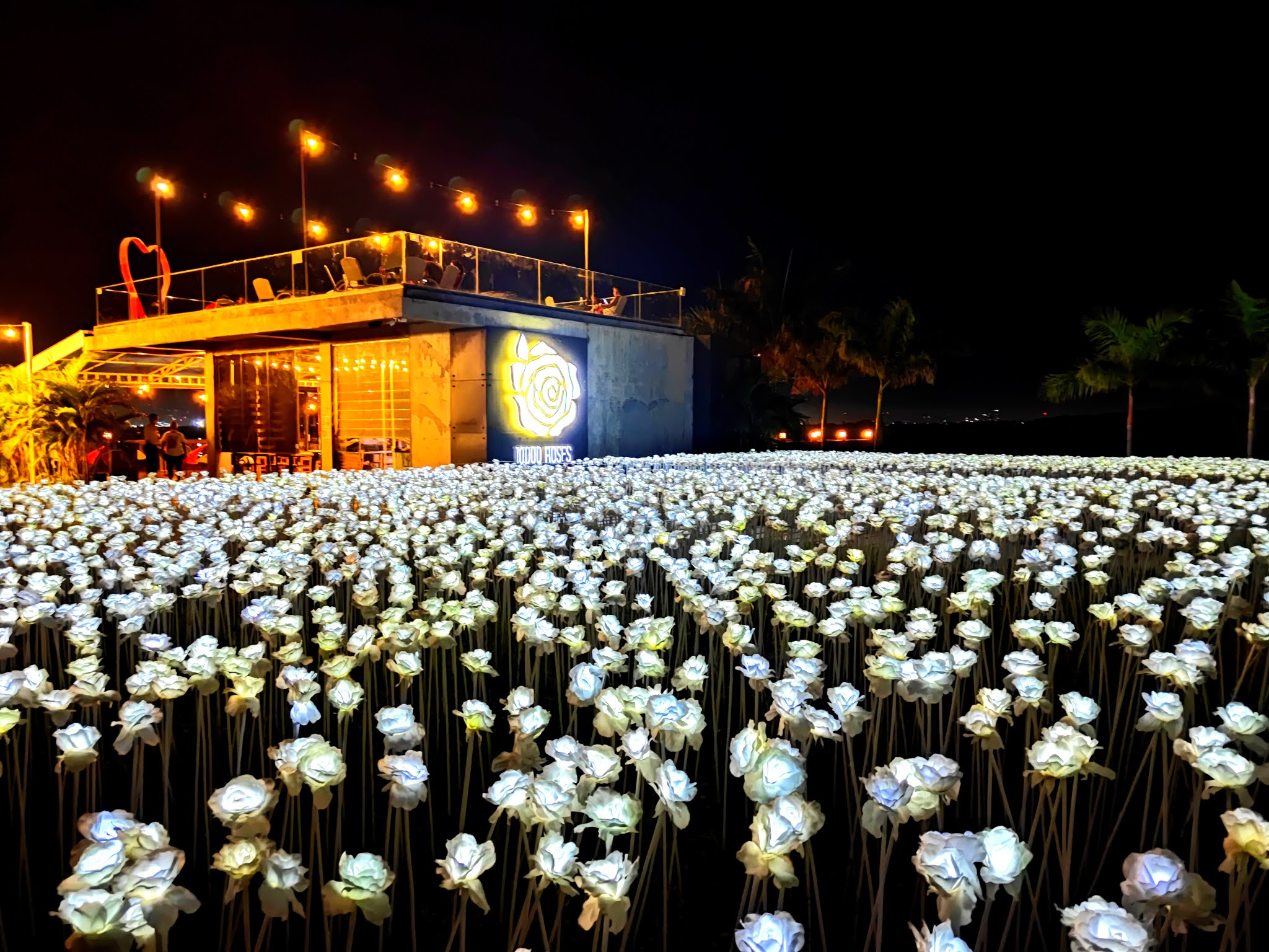 10000 Roses Café & More in Cebu : The Ultimate Travel Guide - The Pinoy ...