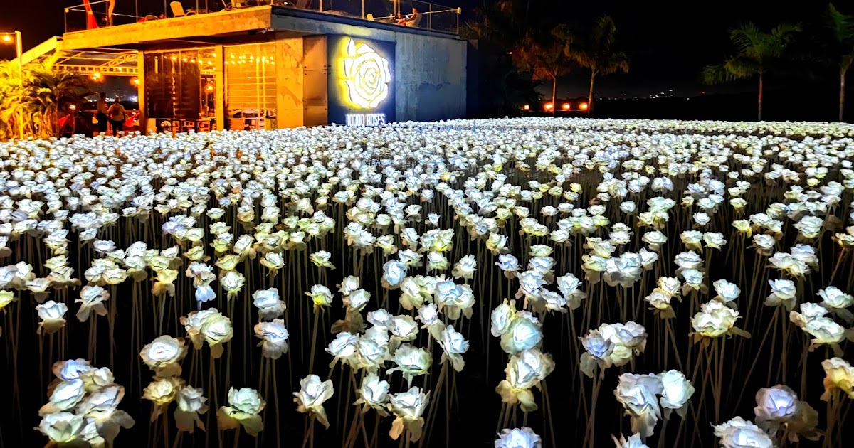 10000 Roses Café & More in Cebu : The Ultimate Travel Guide - The Pinoy ...