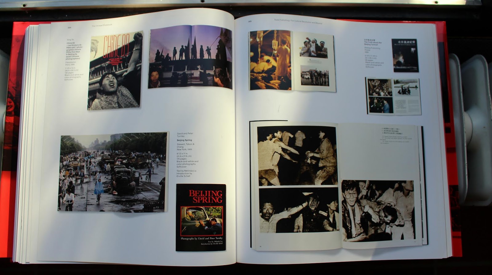 Bint photoBooks on INTernet: The Truth About the Beijing Turmoil ...