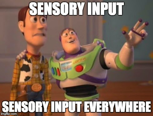Sensory Memes