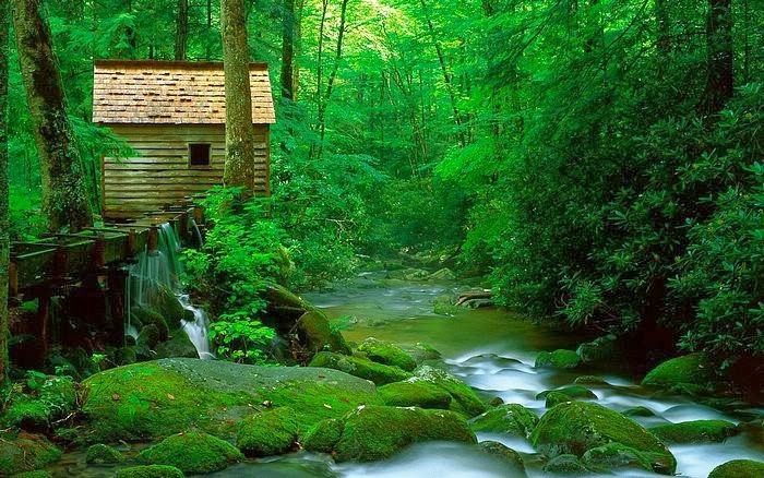 Nature HD Funny Wallpapers ~ Funny Wallpapers