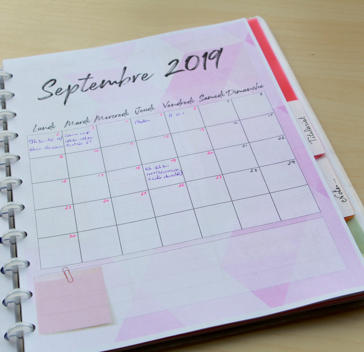 Zoom sur mon journal de bord de l'enseignant 2019-2020 ~ Petits ...